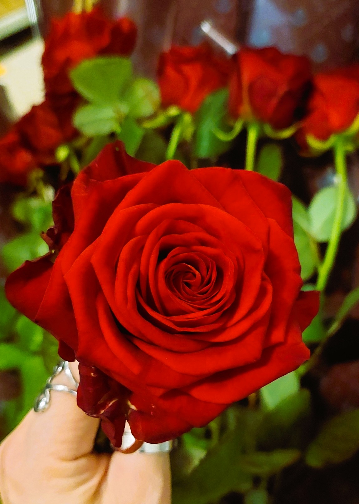 Naslovnica - GRAD DUGO SELO